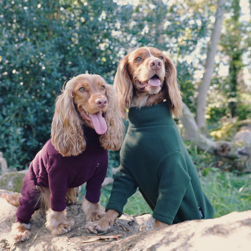 Polartec Fleece Dog Suit - Rainproof, Breathable, Warm and Washable ...